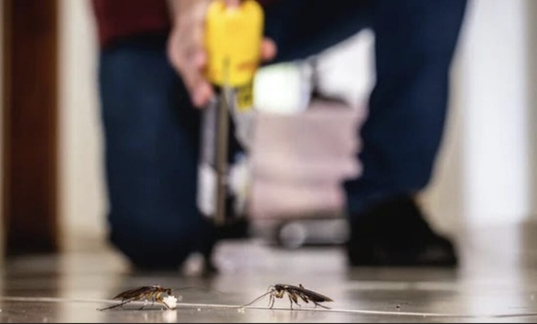 Cockroach Pest Control Services in Tulsa, OK